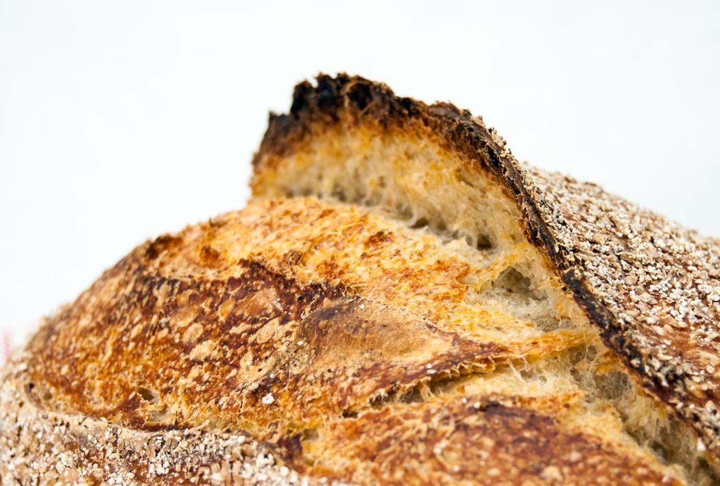 Whole wheat bread recipe for beginners - Sourdough&Olives